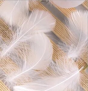 Окрашенные гусиные перья Piesfule 4-8 см 300pcs, White