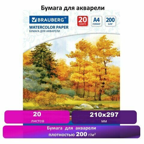 Папка для рисования А4 20листов 200г/м2 "Осенний лес" белая
