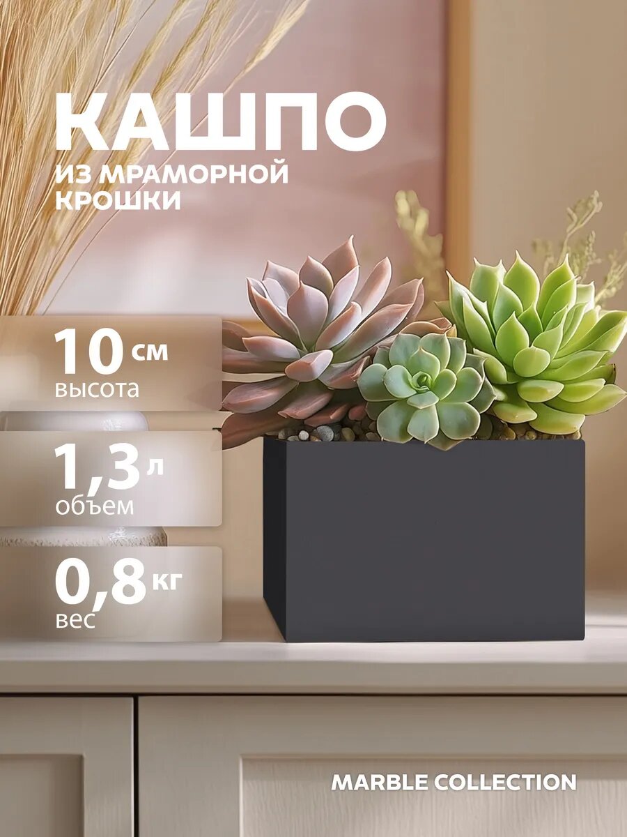 Кашпо для суккулентов и кактусов, горшок для цветов 1 л