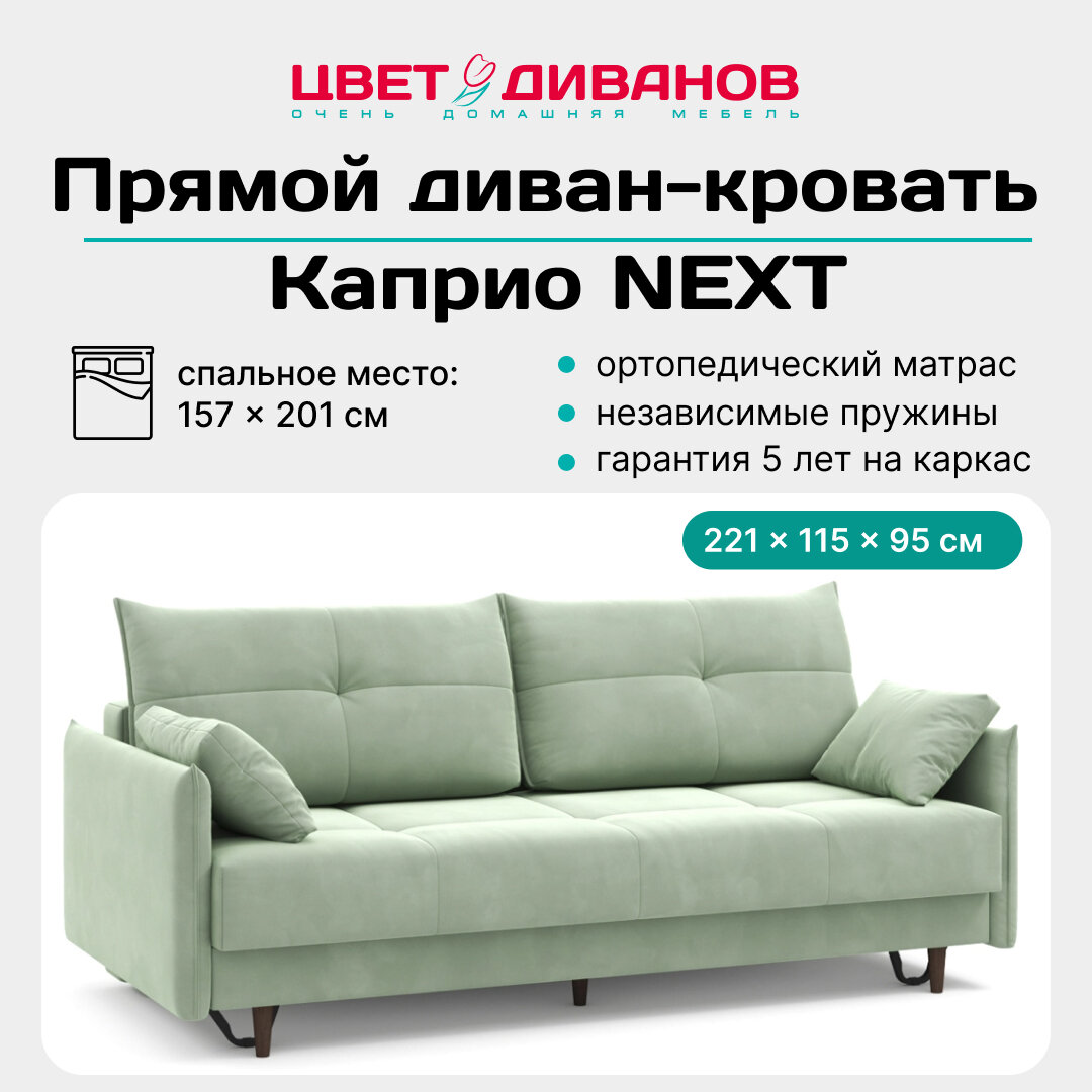 Прямой диван кровать Цвет Диванов Каприо NEXT 22 221 раскладной, пружинный ортопедический матрас, велюр, металлокаркас