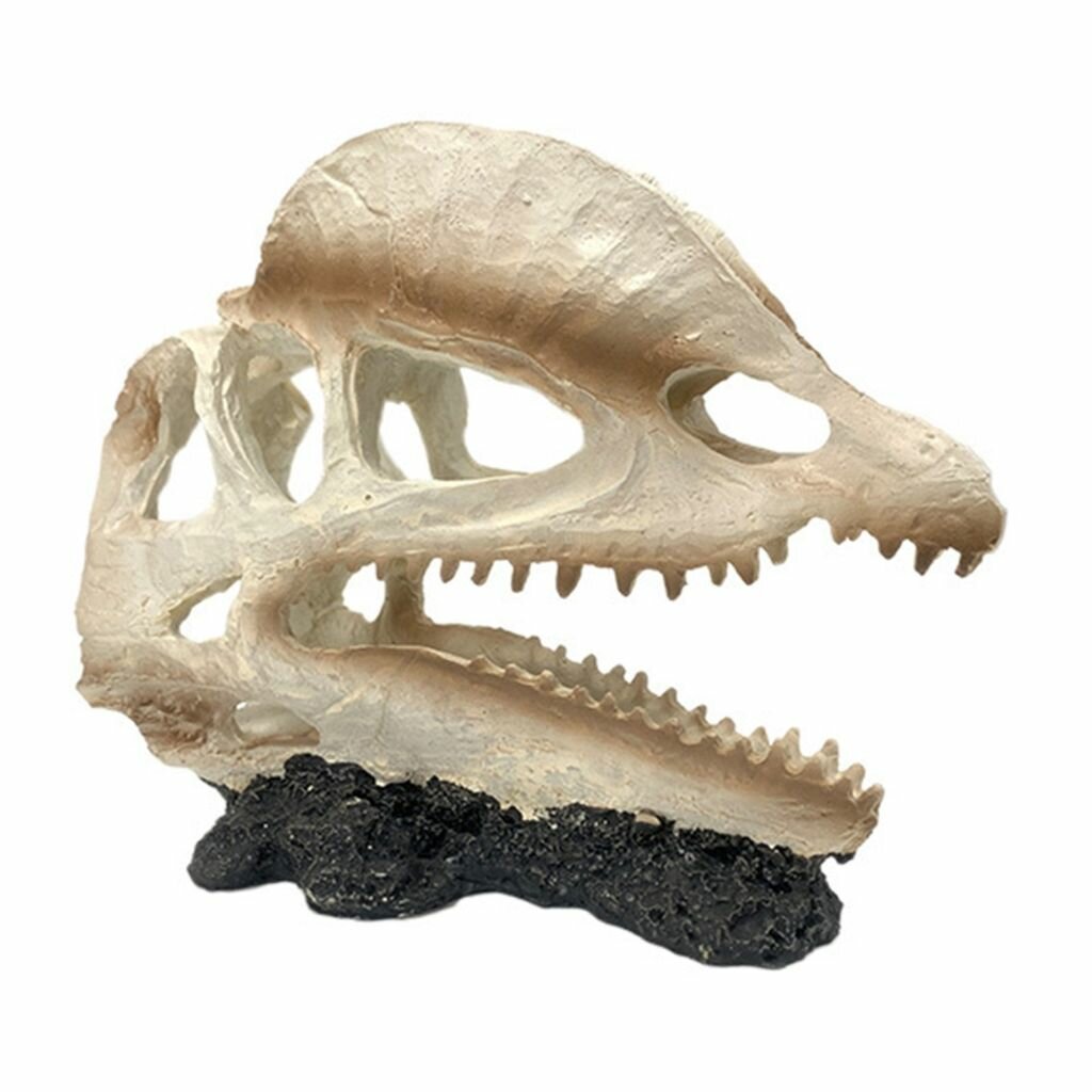Украшение ландшафтного дизайна аквариума с черепом динозавра-двойная корона из кости головы дракона