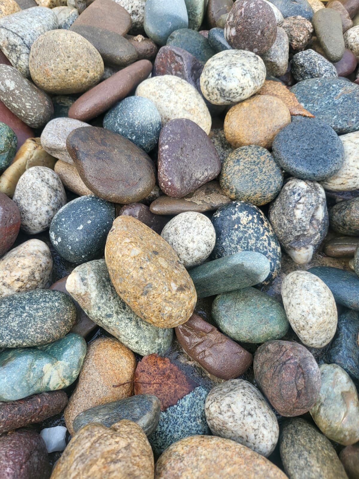 Галька для декора, цветная, натуральный камень, фракция 40-60 мм, 5 кг