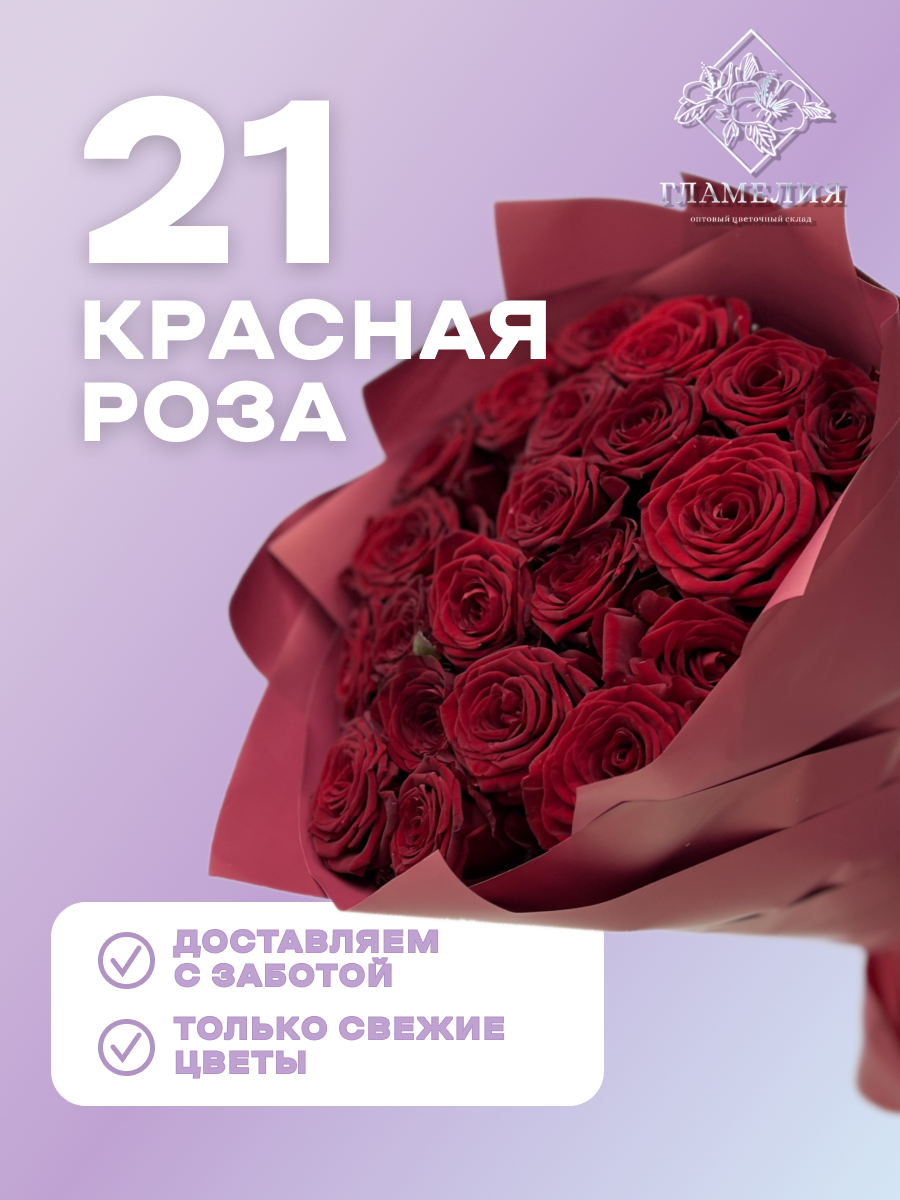 Гламелия цветы «Королевский бархат»: 21 роза Red Naomi в пленке – купить свежие цветы с доставкой в Москве
