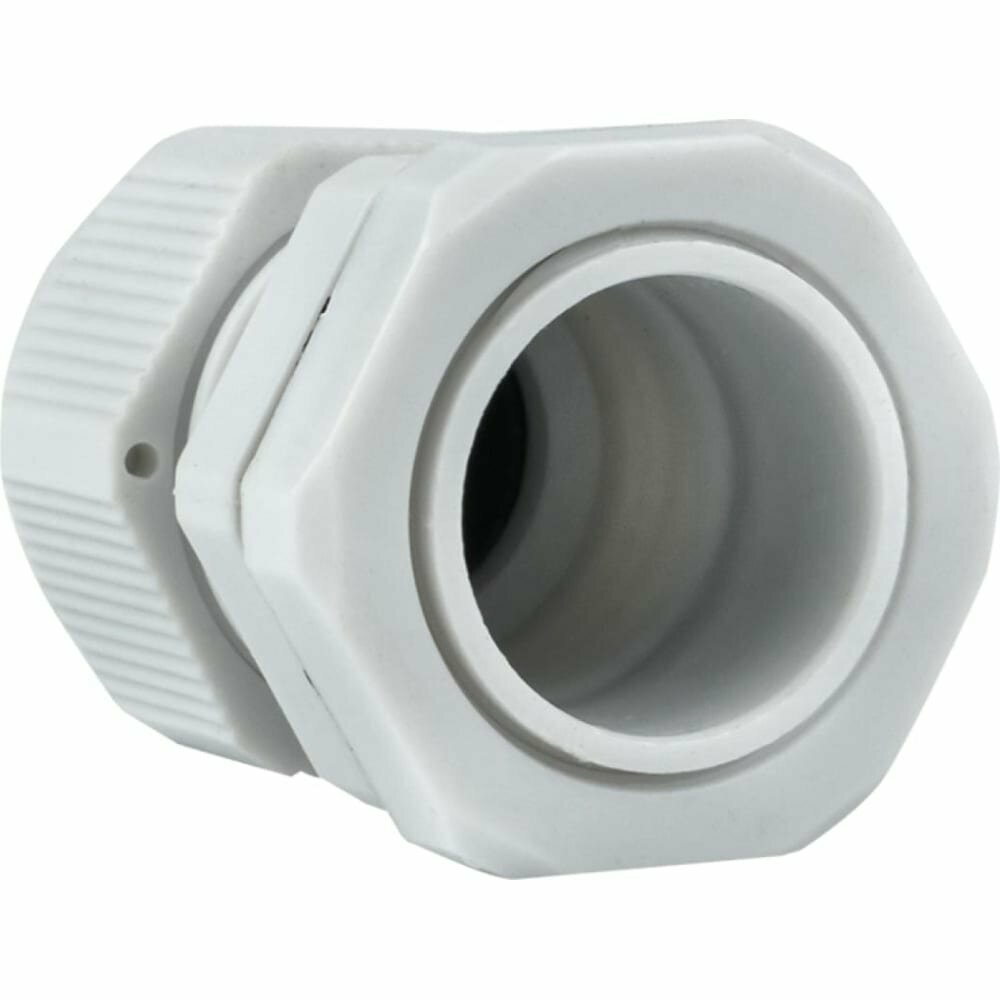 Сальник EKF PG16 IP54 (2 шт) d отверстия 21 мм / d проводника 10-14 мм PROxima plc-pg-16-2-r