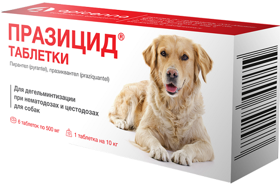 Антигельминтный препарат для собак Apicenna "Празицид", 1 табл/10 кг, 6 шт — фото 1