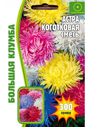 Астра Коготковая смесь 200 шт редкие семена
