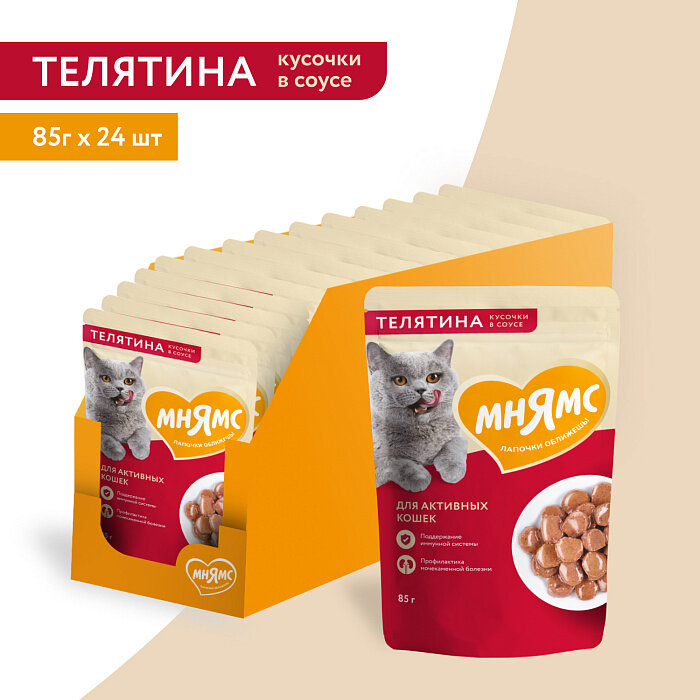 Влажный корм Мнямс Кусочки в соусе с телятиной для активных кошек, 24 шт х 85 гр