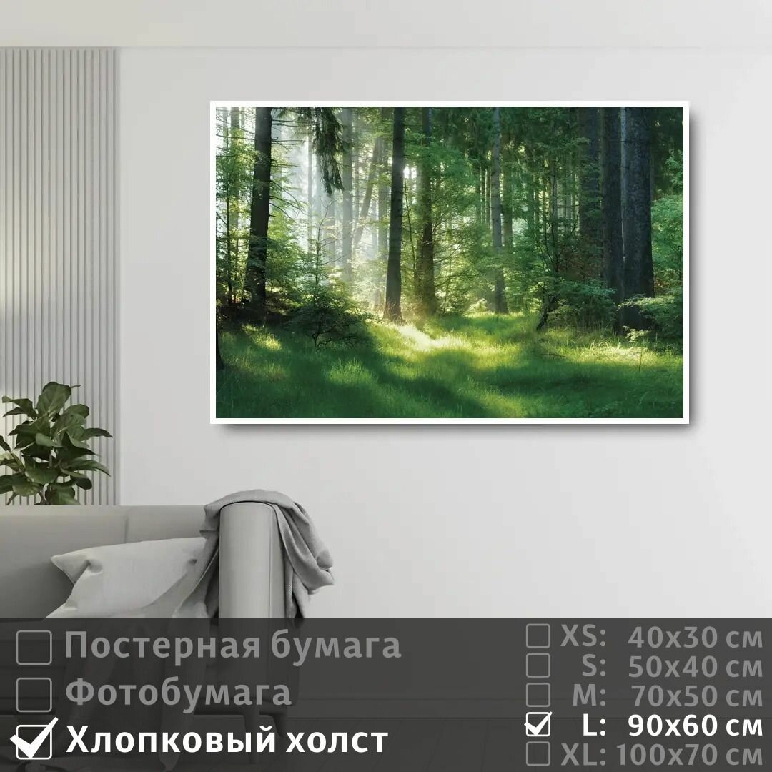 Постер на холсте Солнечные Лучи На Рассвете В Лесу 90х60 см ПолиЦентр