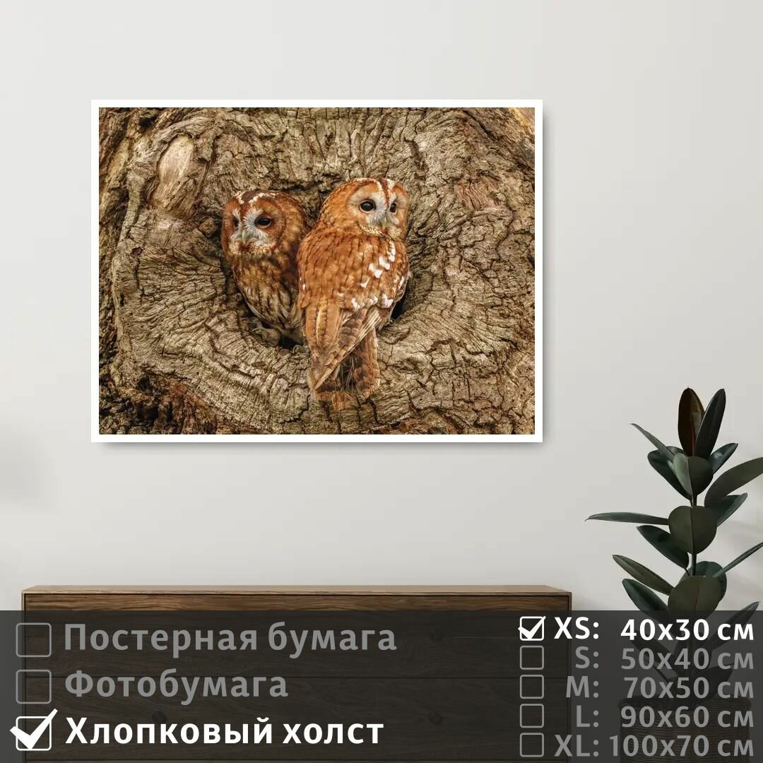 Постер на холсте Две Совы В Дупле Дерева 40х30 см ПолиЦентр