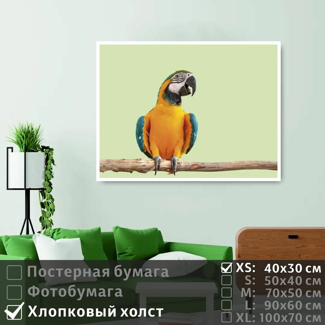 Постер на холсте Яркий Попугай Ара На Ветке 40х30 см ПолиЦентр