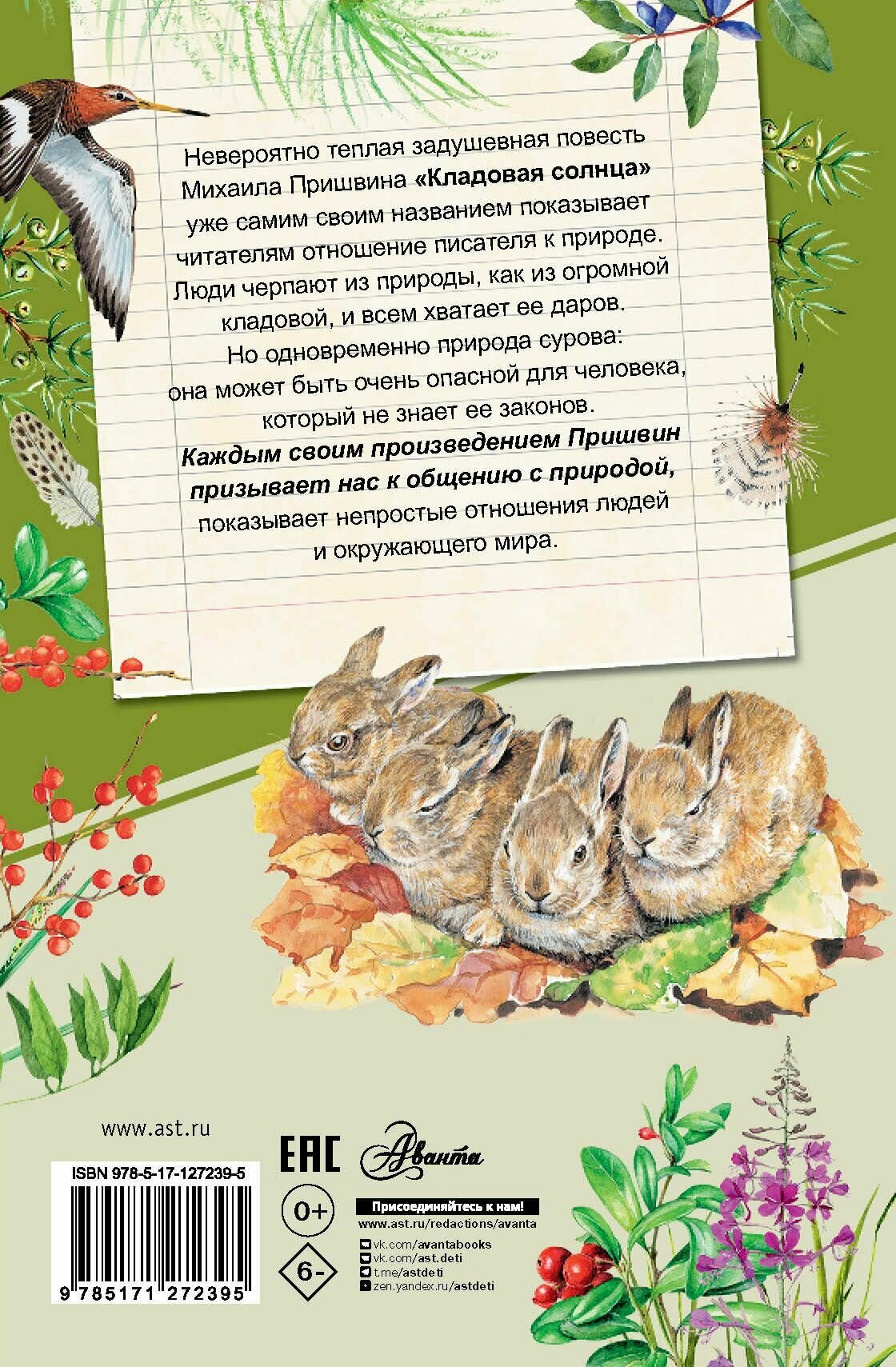 Кладовая солнца — фото 1