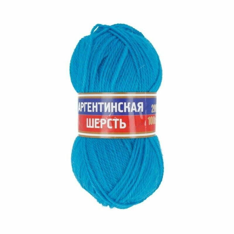 Пряжа Камтекс "Аргентинская шерсть", цвет: 024 - Бирюза, 1 шт, 100% полутонкая шерсть, 100 г. 200 м.