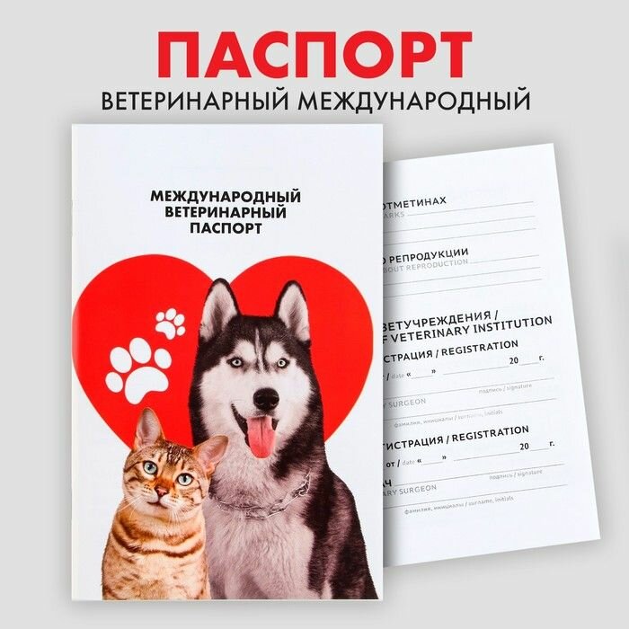 Ветеринарный паспорт международный универсальный паттерн Сердце