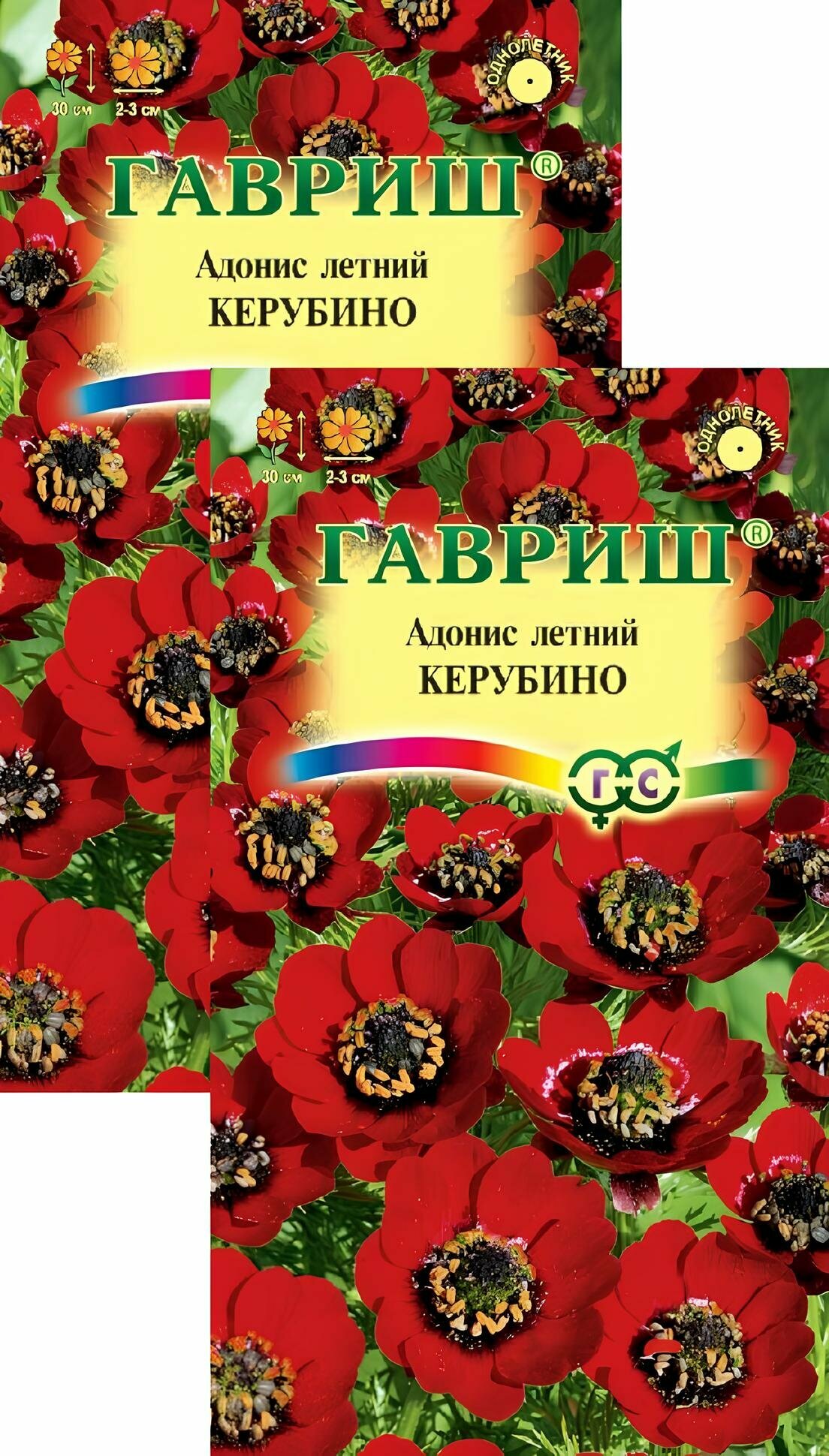 Семена Адонис летний Керубино (0,1 г), 2 пакета, Агрофирма Гавриш