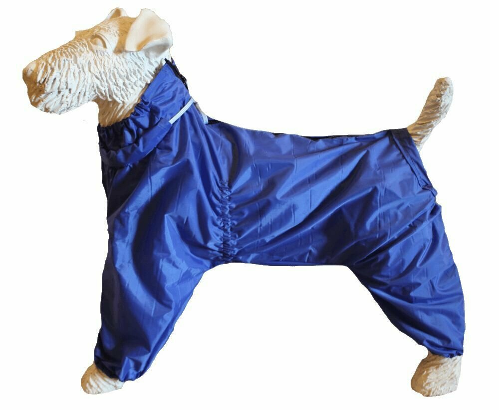 Комбинезон для пуделя малого суки, цвет синий