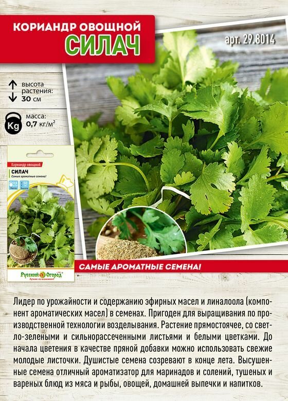 Семена растения Кориандр Силач