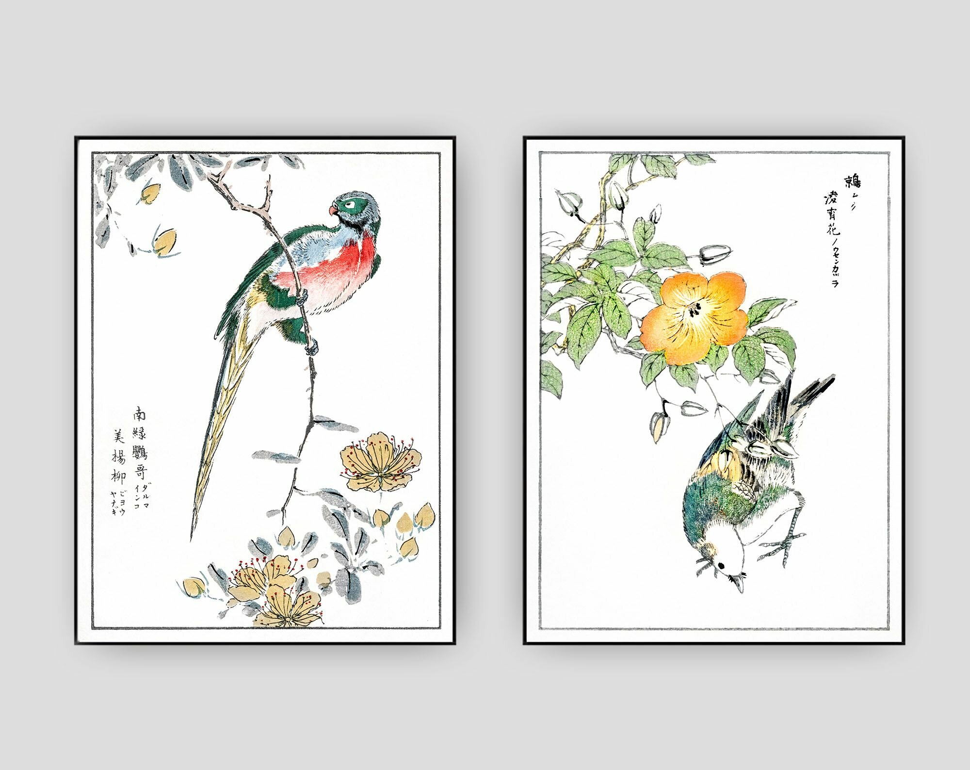 Набор восточных постеров - "Птицы Японии" А3 без рамы, ориентализм. 2 винтажных плаката в стиле японской гравюры "Минимализм и Модерн"