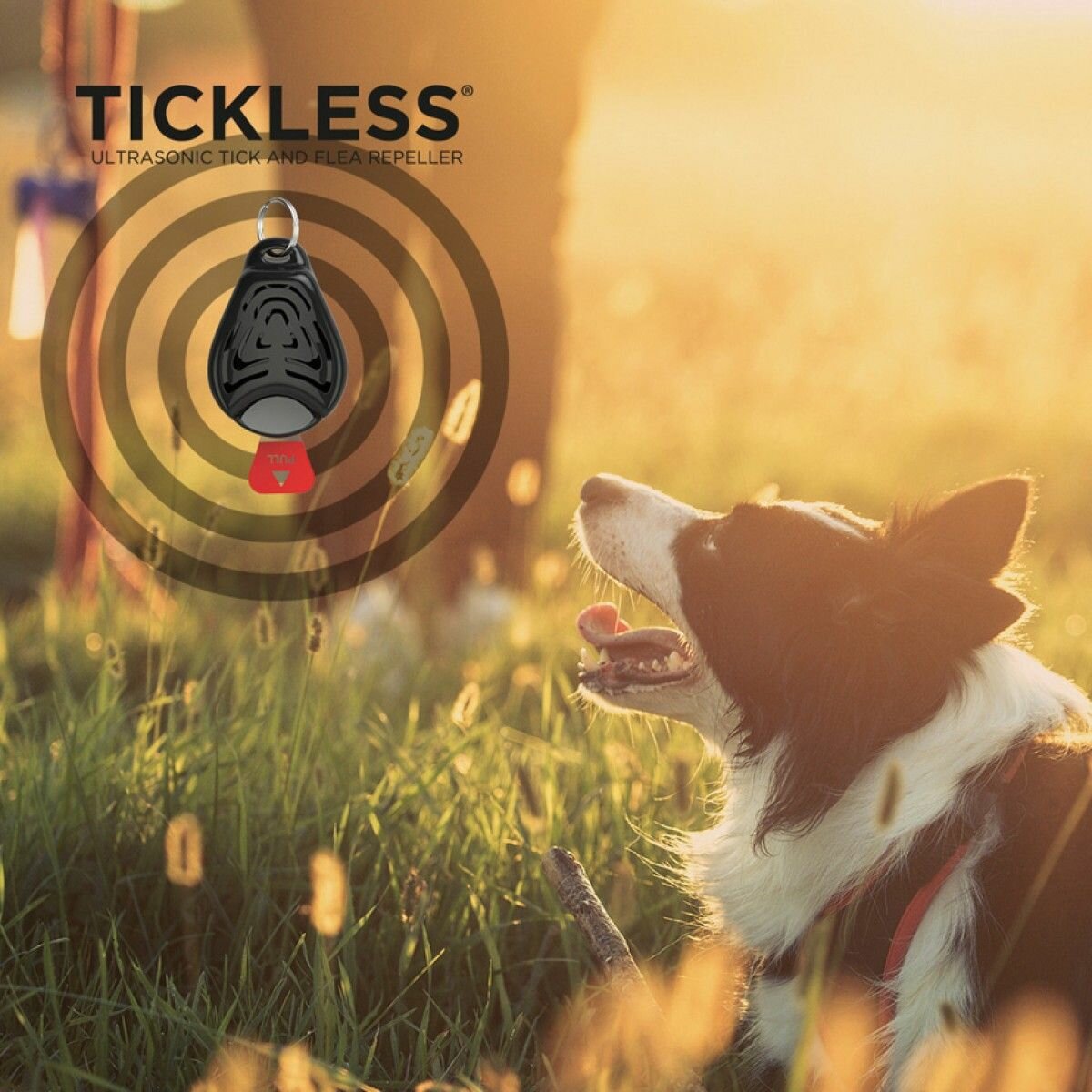 Ультразвуковой отпугиватель клещей и блох для кошек и собак TICKLESS Pet — фото 1