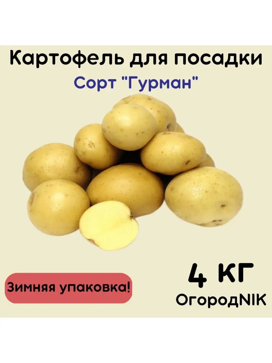 Картофель семенной "Гурман" 4 кг