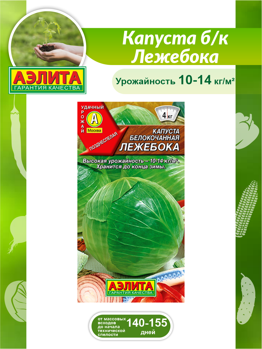 Семена Капуста белокочанная Лежебока 0,3 гр.