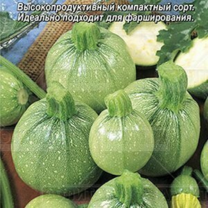 Семена Кабачок цуккини Мячик