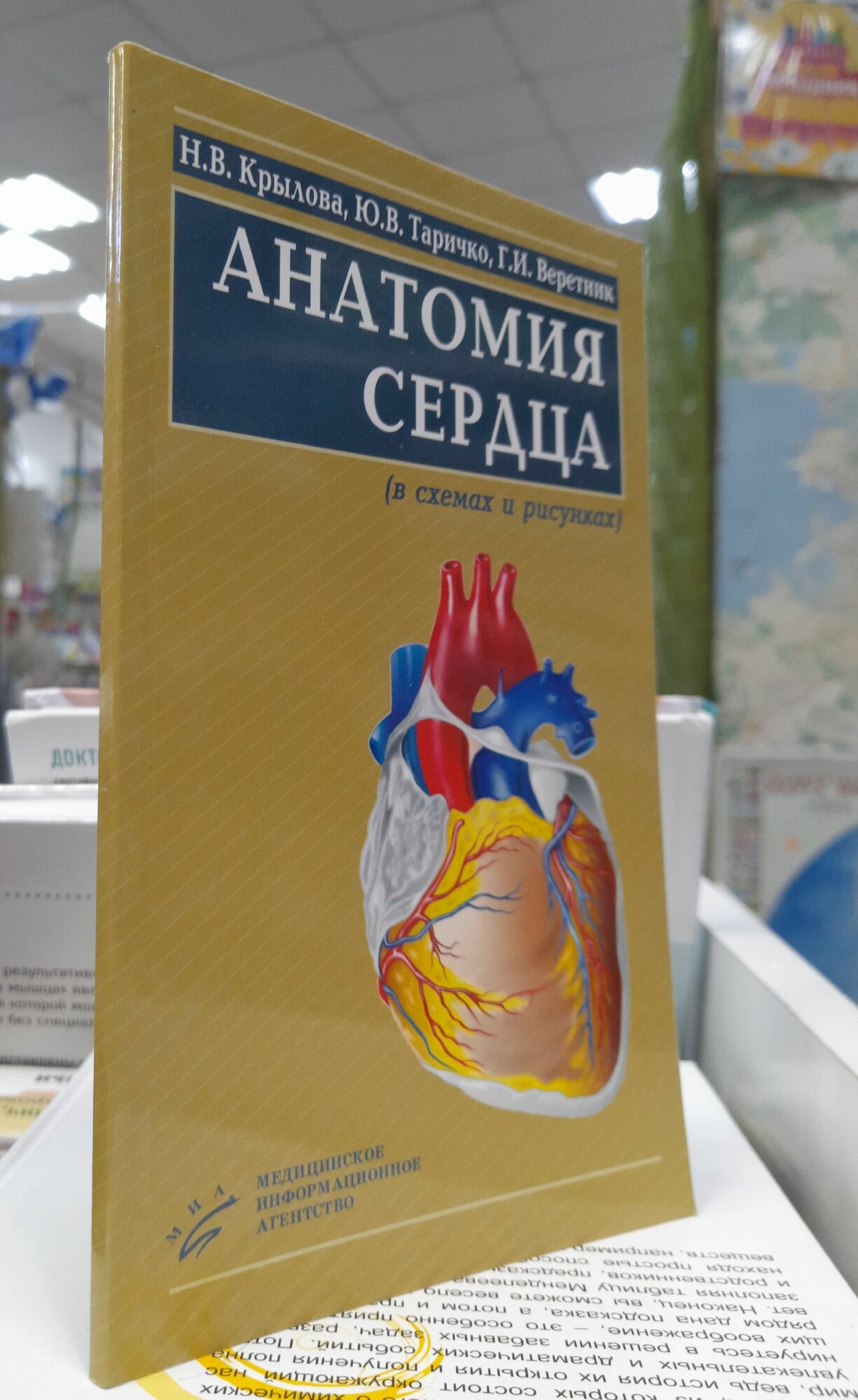 Анатомия сердца. В схемах и рисунках. Учебное пособие.