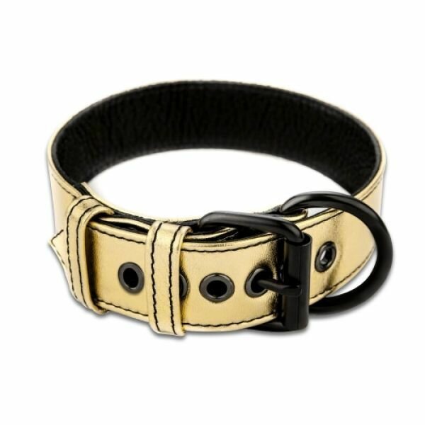 Ошейник с поводком Bondage Fetish Metallic Pup Collar With Leash