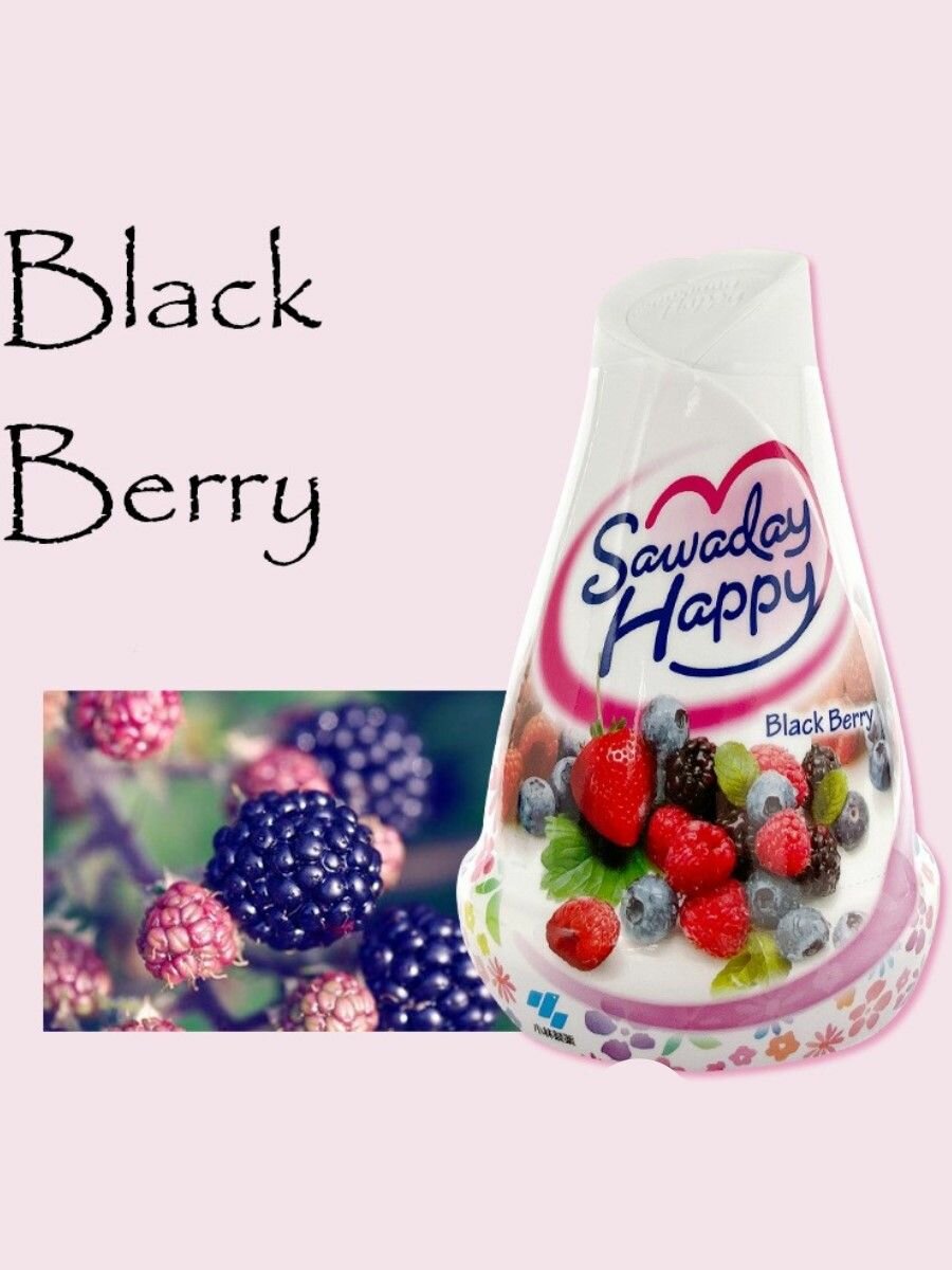 Освежитель воздуха для комнаты KOBAYASHI Sawaday Happy Parfum Black Berry с ароматом спелой ежевики и фрукты, 120г.