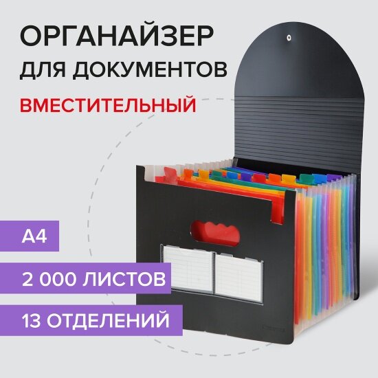Папка-органайзер Brauberg для бумаг и документов на резинке, 13 отделений, DOCS, А4, черная, 271152
