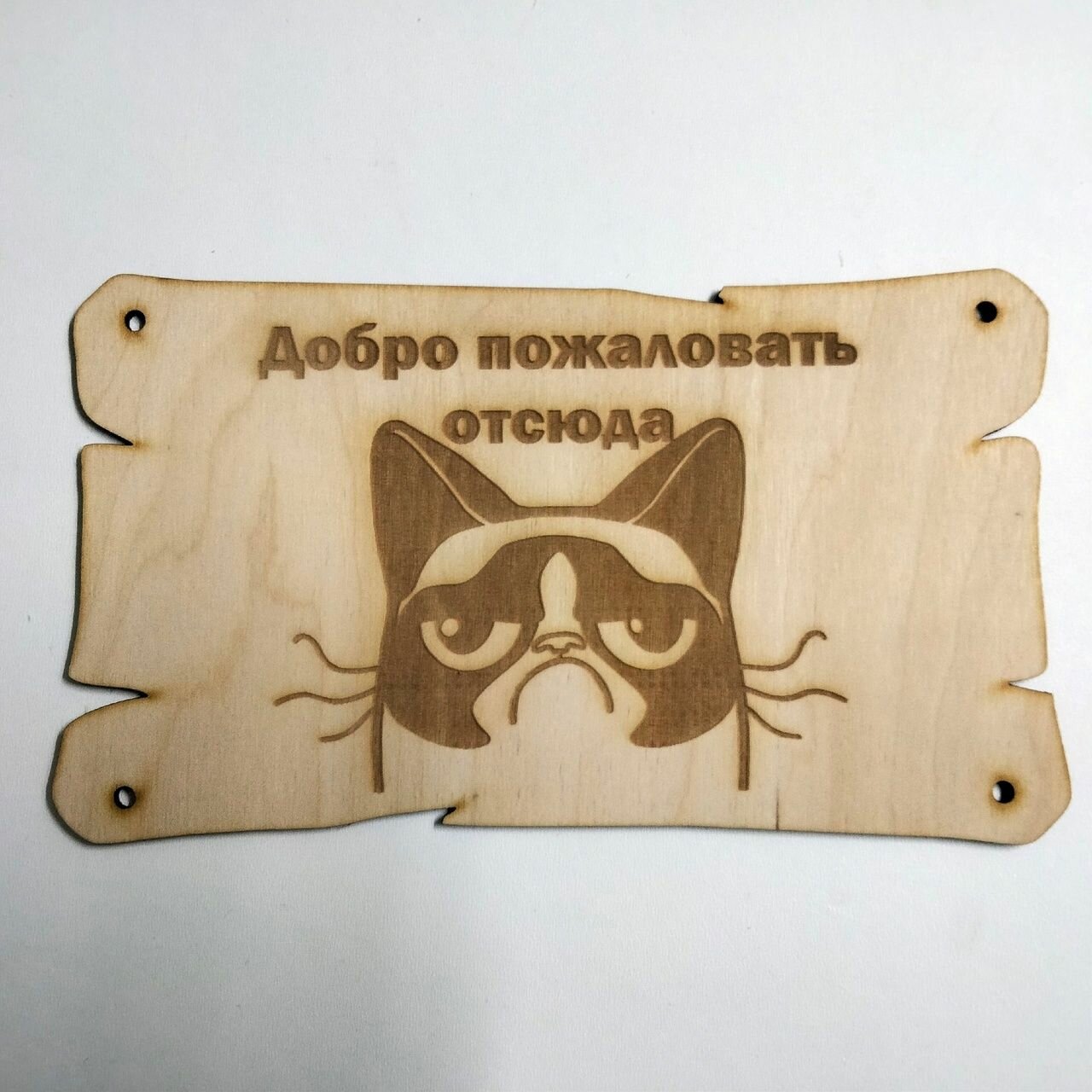 Табличка прикол Добро пожаловать отсюда