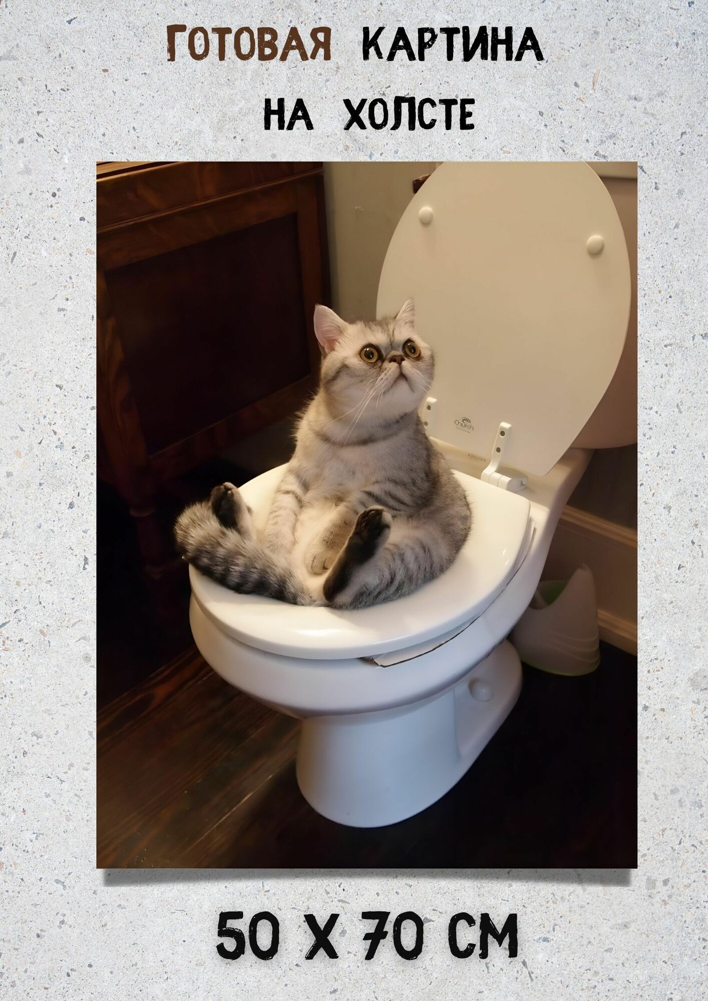 Картина с котом, который сидит на унитазе и смотрит / Картина в туалет