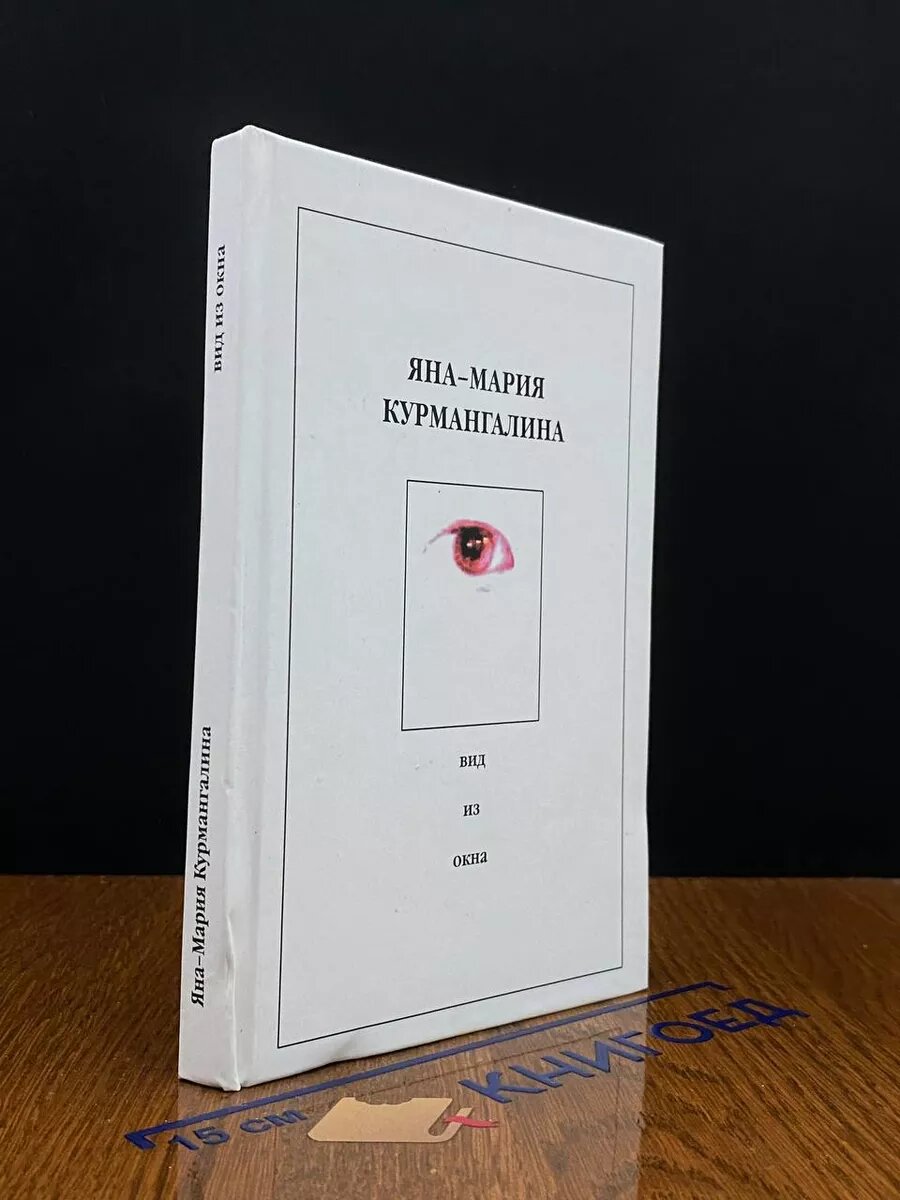 Книга. Вид из окна 2008 (2040955469635)