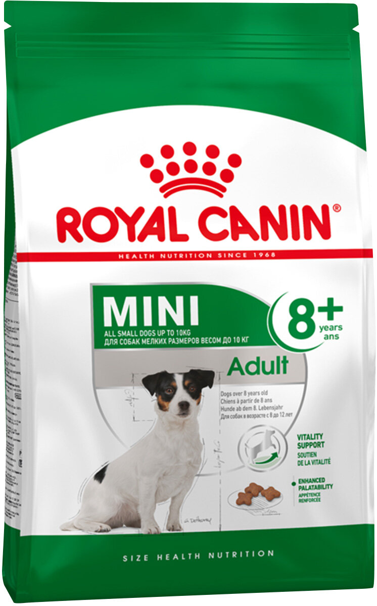 Корм сухой Royal Canin Mini Adult 8+ для пожилых собак маленьких пород старше 8 лет, 4 кг