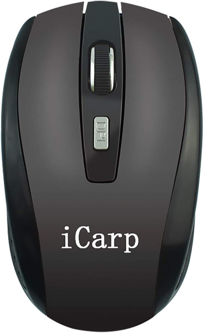 Беспроводная мышь iCarp 2.4G
