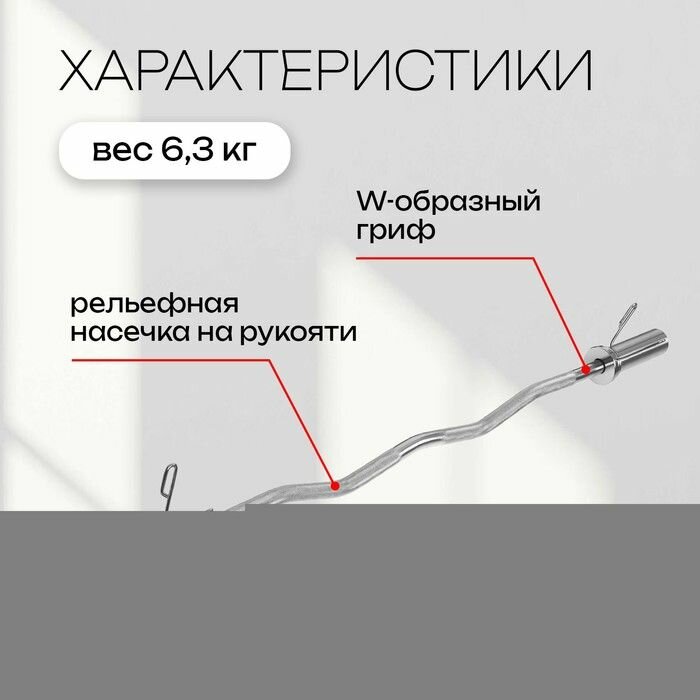 Гриф гантельный — фото 1