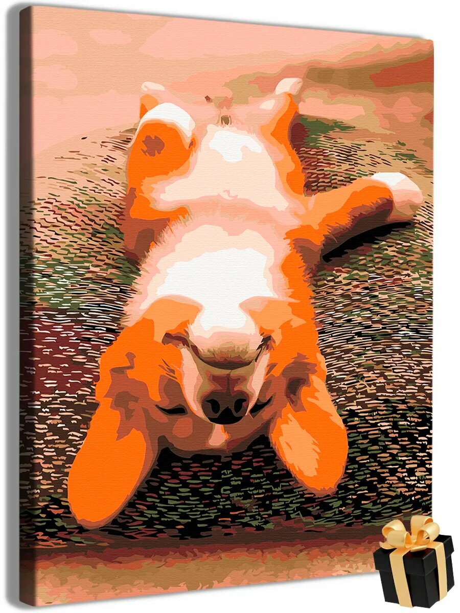 Картины по номерам Корги