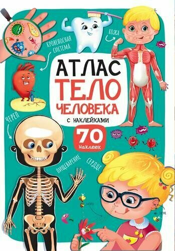 Атлас. Тело человека (+70 наклеек), (Проф-Пресс, 2023), Обл, c.32