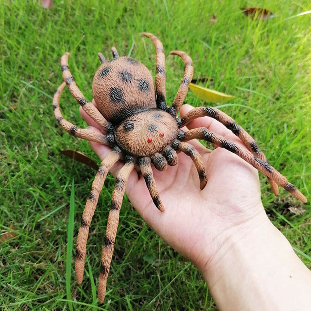 Забавные игрушки, Игрушка-насекомое, имитирующая реальное насекомое - паук