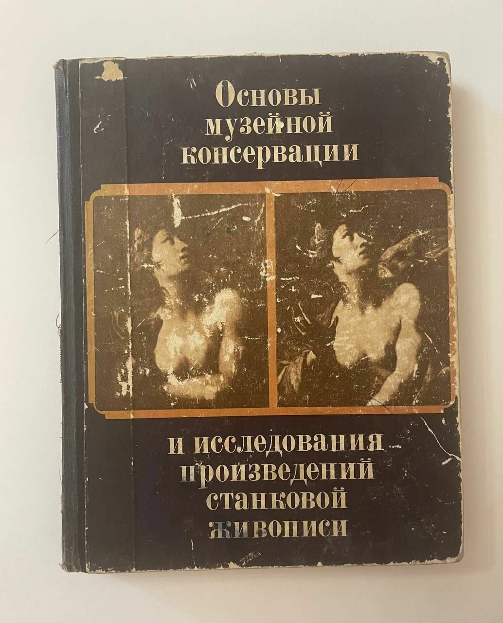 Основы музейной консервации и исследования произведений станковой живописи.