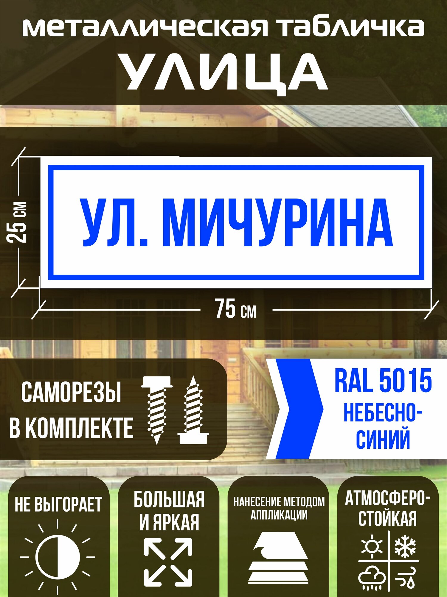 Адресная табличка на дом улица Мичурина RAL 5015 синяя