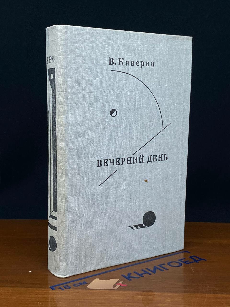 Книга. Вечерний день 1982 (2042362654901)