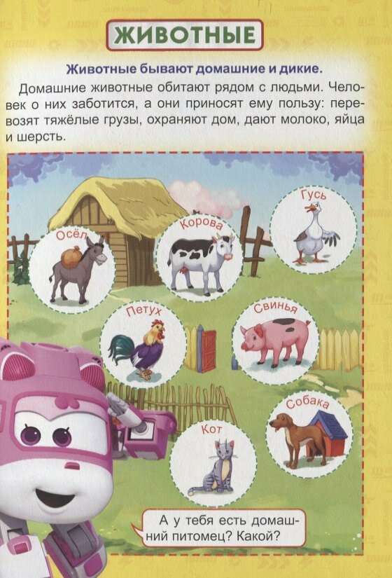 Мои первые знания — фото 1
