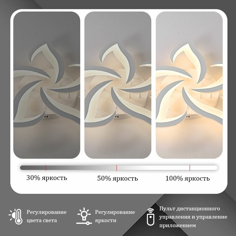 Люстра потолочная — фото 1