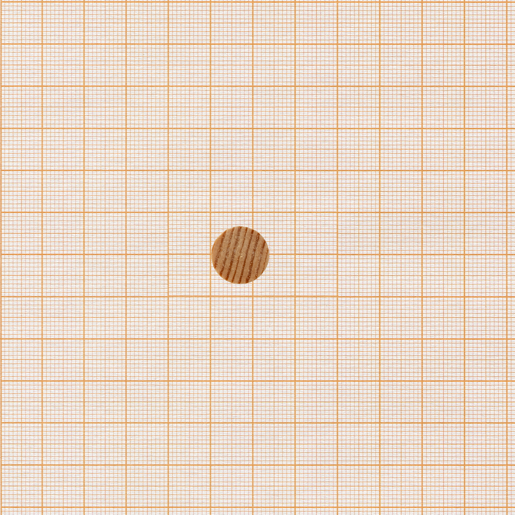 Заглушка-пробка ø12 мм — фото 1