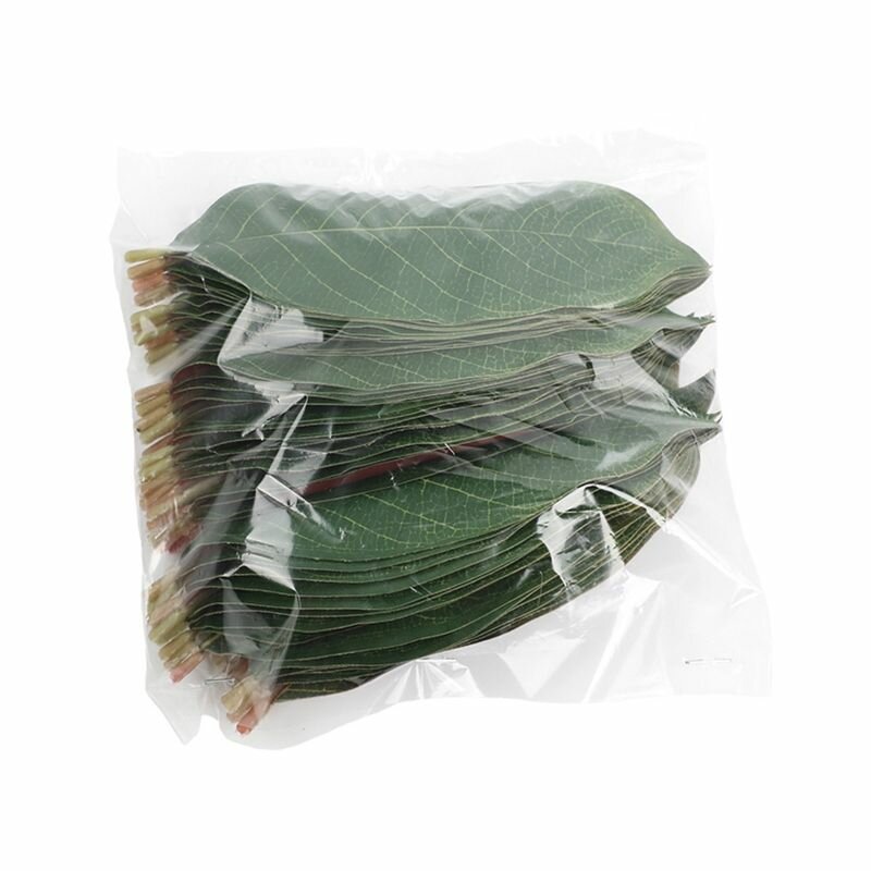 50 листов, Аксессуары из перфорированных Искусственных Листьев Halloween Harvest Festival, имитация листьев Магнолии-большой Лист Магнолии, красный фон и зеленая поверхность