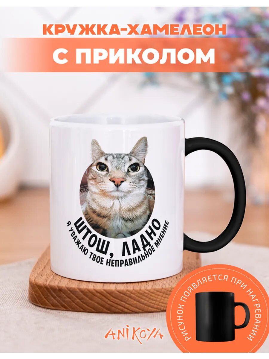 Кружка подарочная хамелеон мем кот