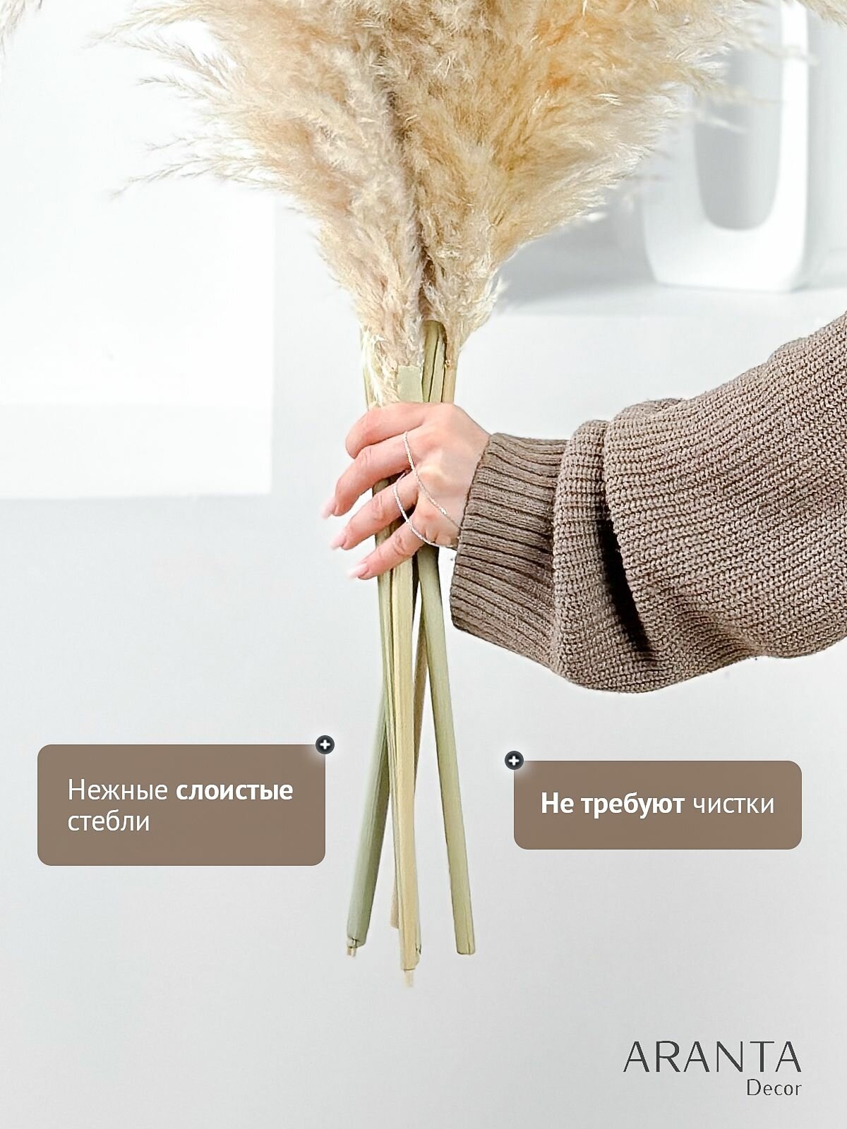 Сухоцветы — фото 1