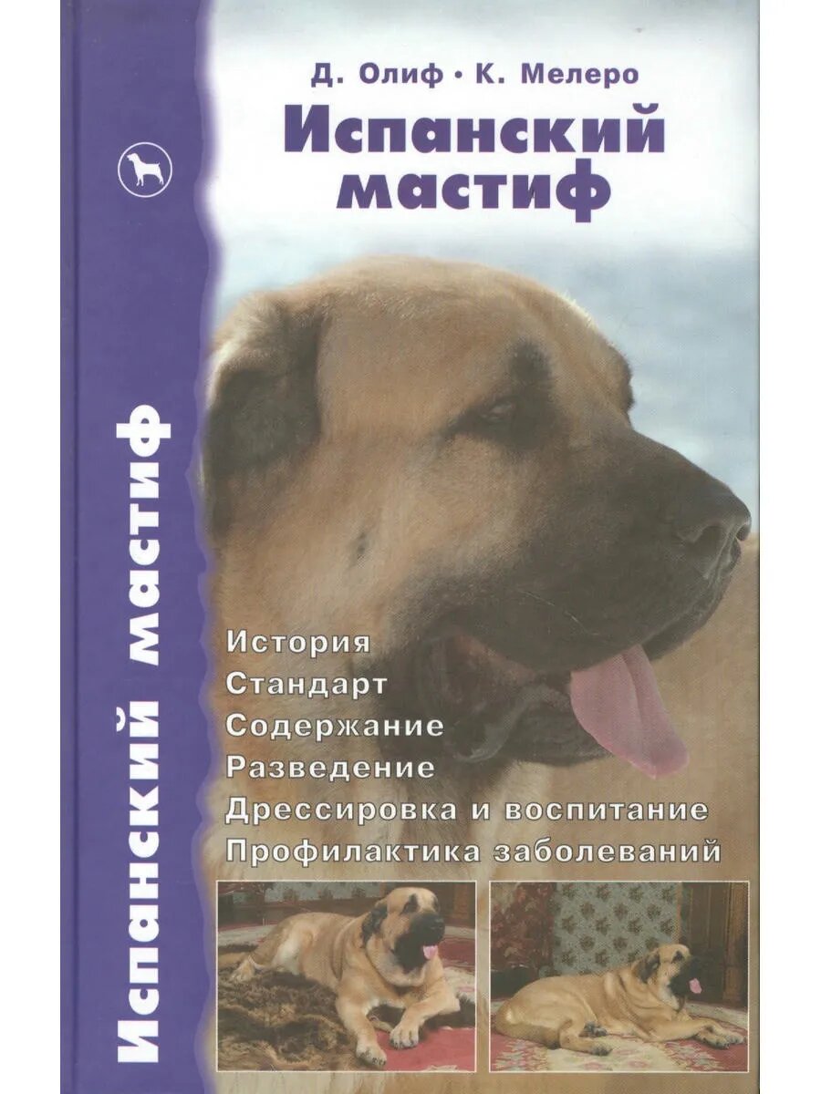 Испанский мастиф. История. Стандарт. Содержание. Разведение