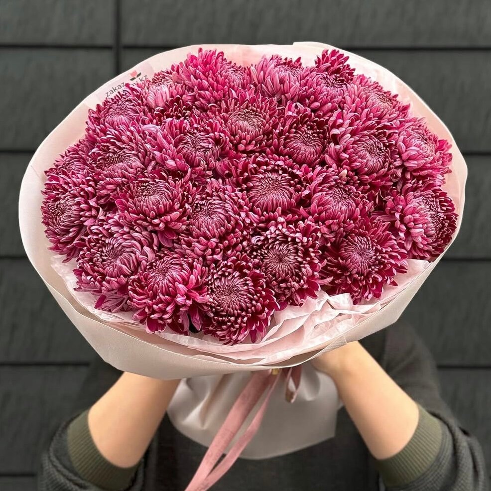 Букет из фиолетовых хризантем 25 шт, красивый букет цветов, шикарный, премиум цветы, премиум букет