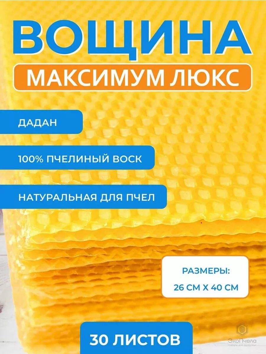 Вощина